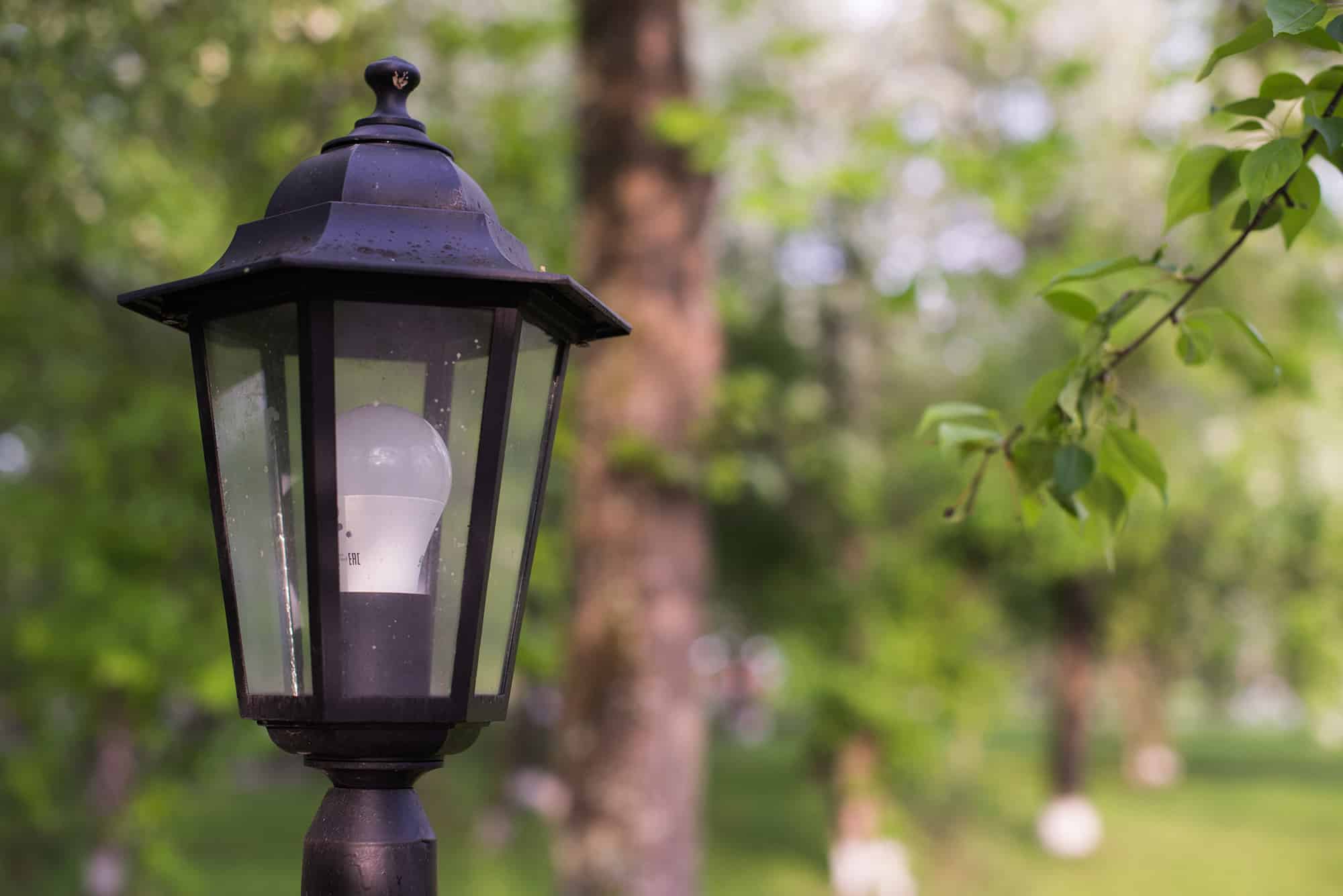Landscape Lighting Basics: What to Know Before You Install - LakeScape