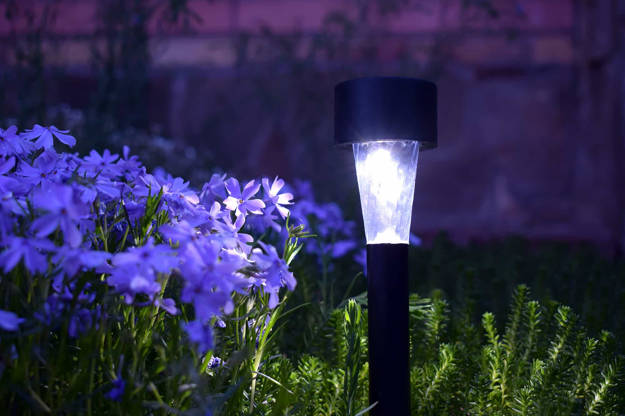 Landscape Lighting Basics: What to Know Before You Install - LakeScape